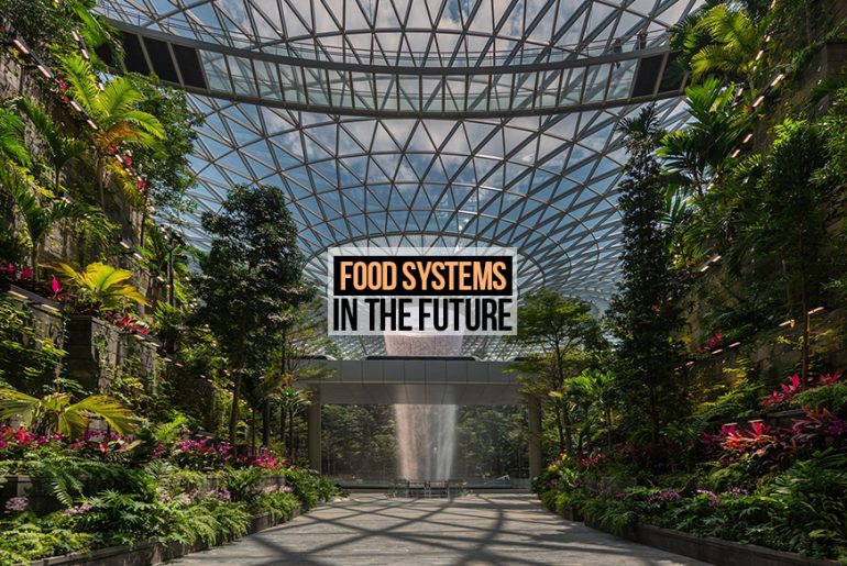 Food Systems in the future - RTF | Rethinking The Future