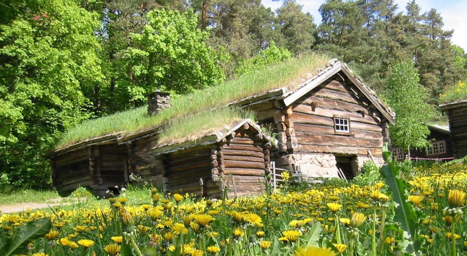 Vernacular designs and climate change - RTF | Rethinking The Future