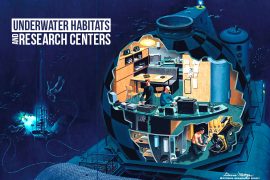 Underwater Habitats and Research Centers - RTF | Rethinking The Future