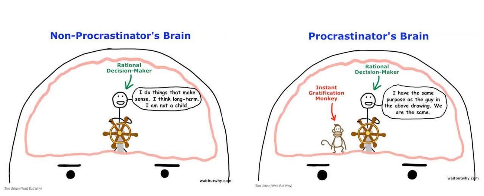 Lessons From Procrastination - My Journey In Architecture So Far - RTF ...