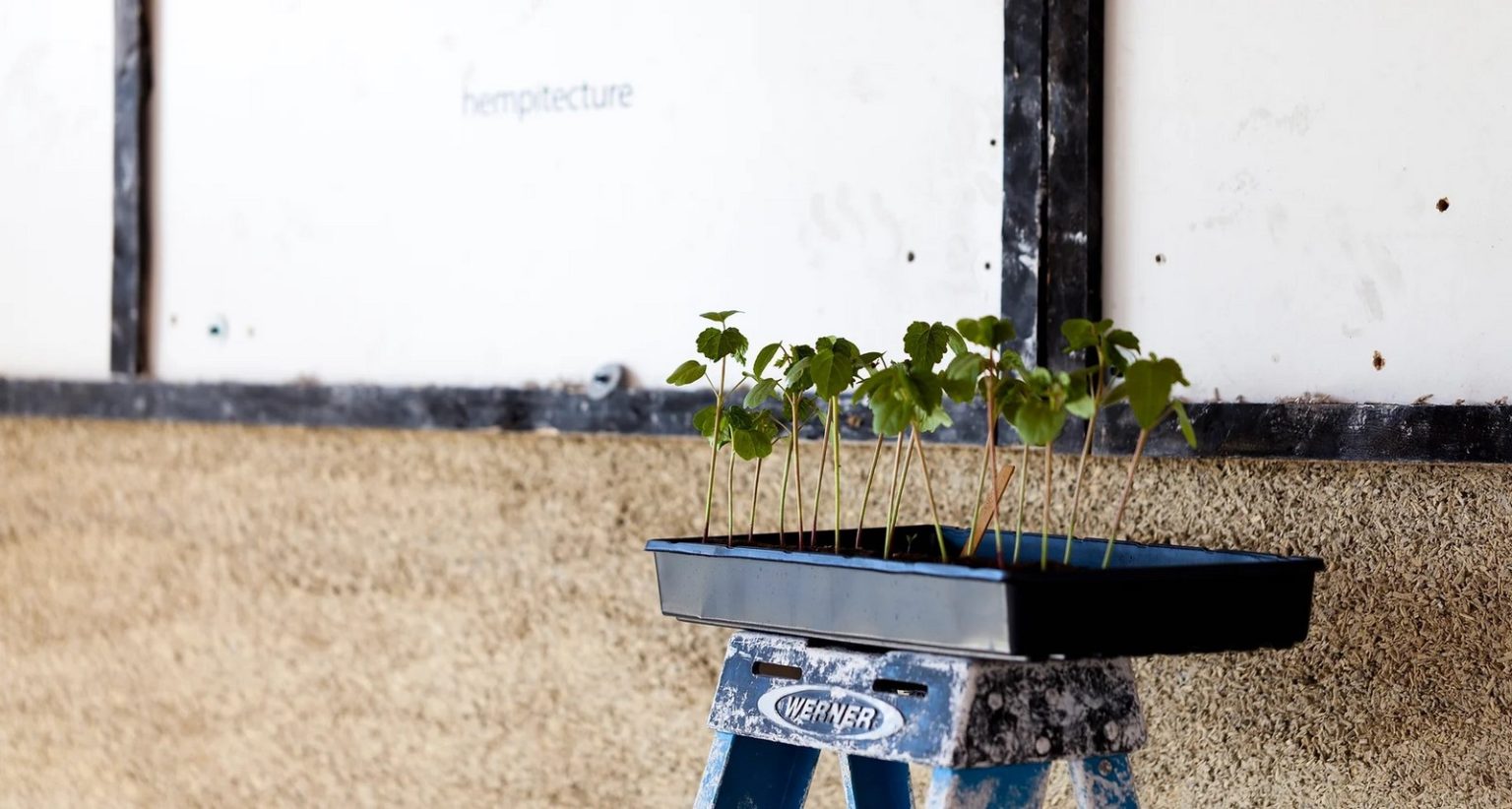 Exploring the Structural Properties of Hempcrete in Building ...