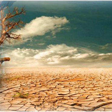 Architectural Responses to Natural Disasters and Climate Change - RTF ...