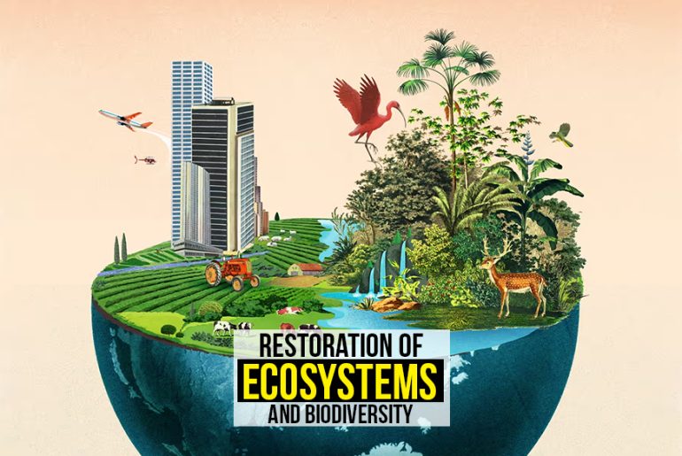 Restoration of Ecosystems and Biodiversity - RTF | Rethinking The Future