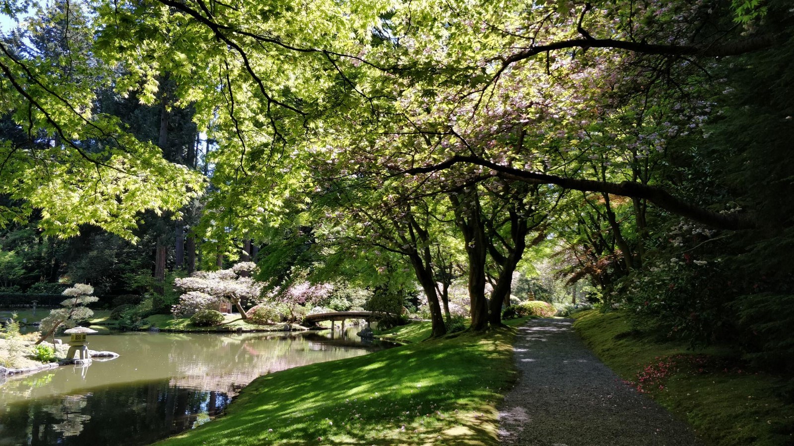 Zen Aesthetics and Architectural Minimalism - RTF | Rethinking The Future