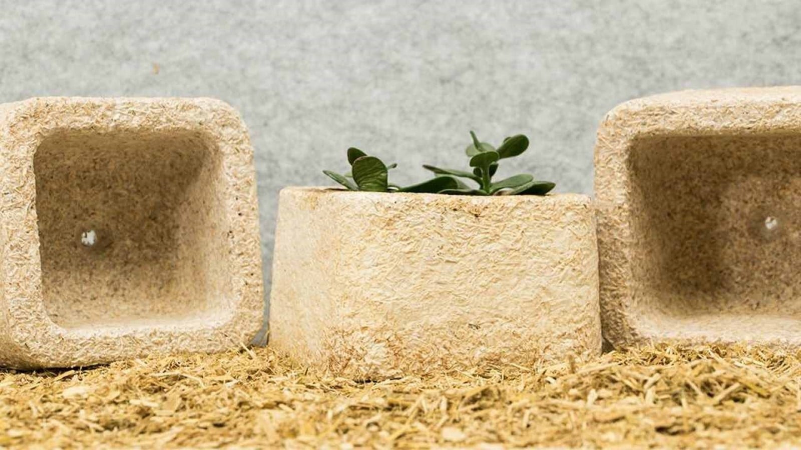 Recycled and Upcycled Materials in Building - RTF | Rethinking The Future