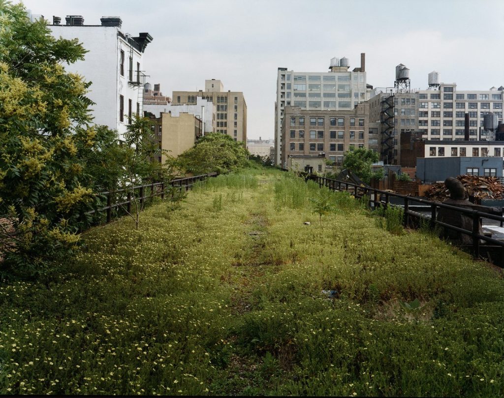 Project in-depth The High Line, New York City, USA - RTF | Rethinking ...