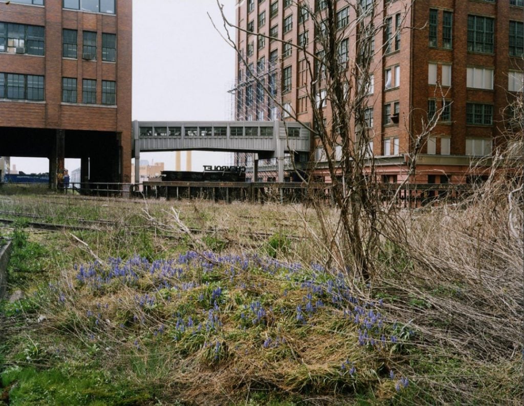 Project in-depth The High Line, New York City, USA - RTF | Rethinking ...