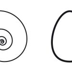 Architecture trends: Circular architecture - RTF | Rethinking The Future