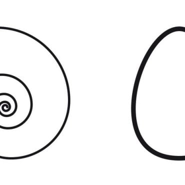 Architecture trends: Circular architecture - RTF | Rethinking The Future