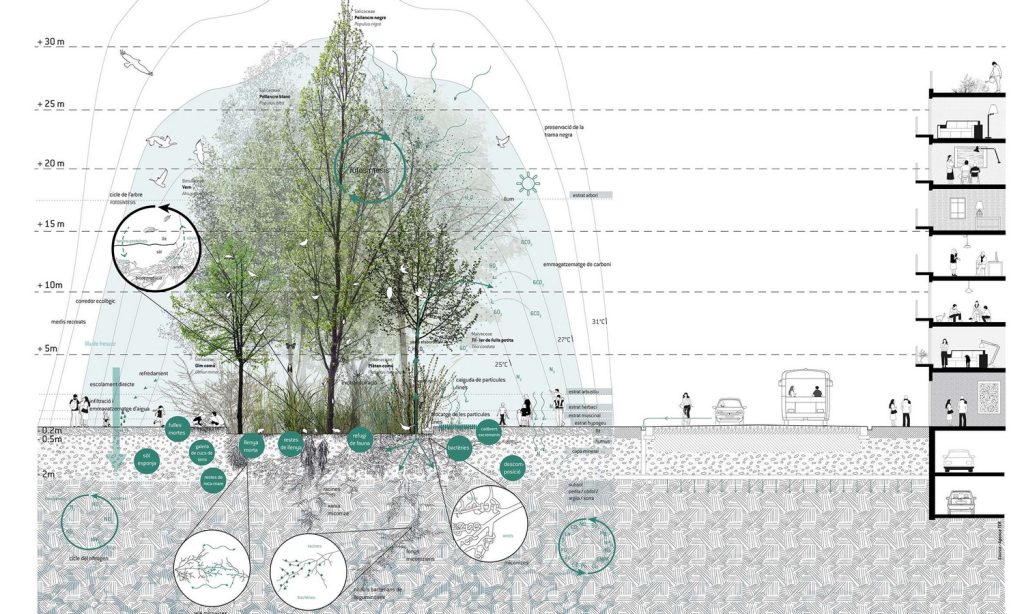 Transportation Planning and Urban Design - RTF | Rethinking The Future