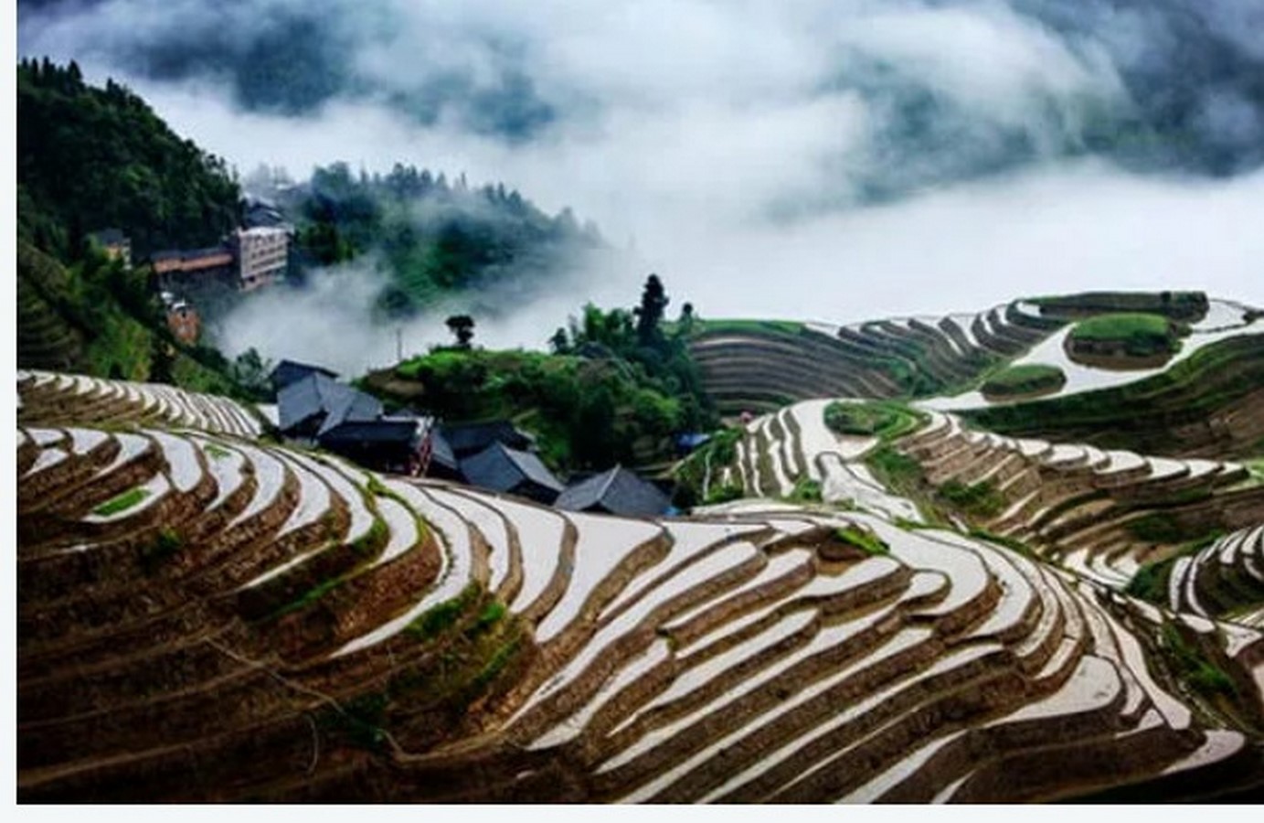 Travel the world: The Longji Rice Terraces - RTF | Rethinking The Future