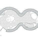 Project in-depth: TECLA 3D-Printed House (Italy) - RTF | Rethinking The ...