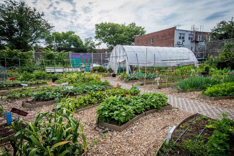 The Power of Community Gardens in Greening Cities: Transforming Urban ...