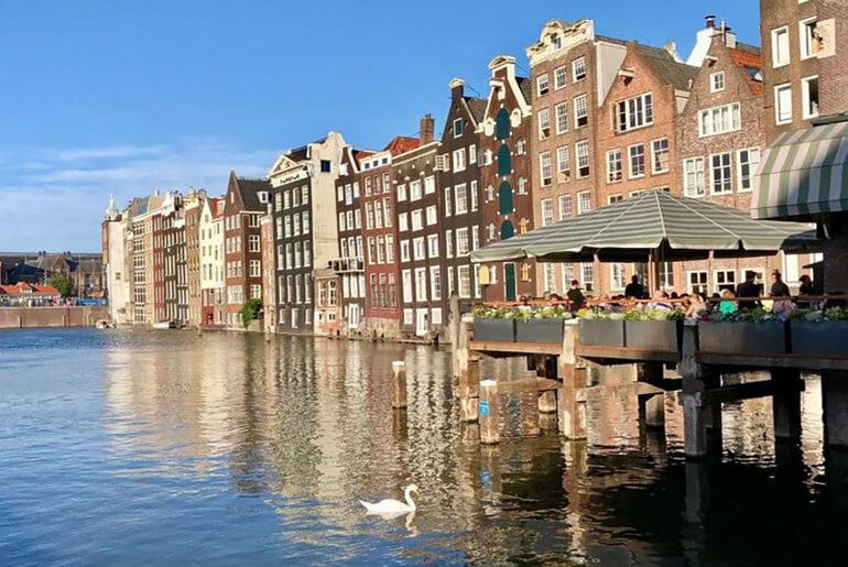 The Essence of Row Houses: Understanding Residential Design - RTF ...