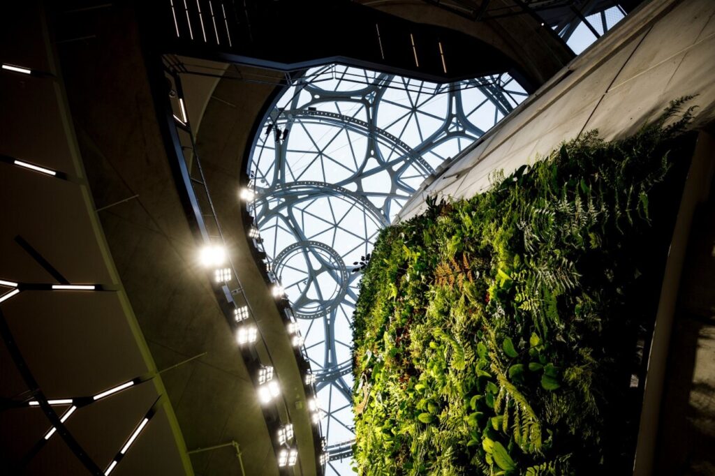 Symbiosis of Nature and Design: The Essence of Biophilic Architecture ...