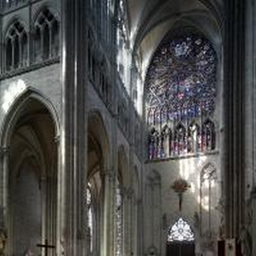 A Metamorphosis of Sensation - RTF | Rethinking The Future