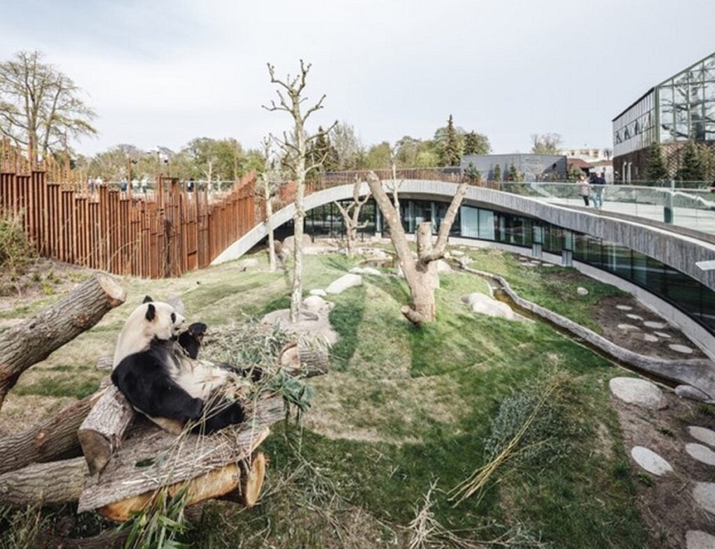 Zoo concepts for the 21st century - RTF | Rethinking The Future