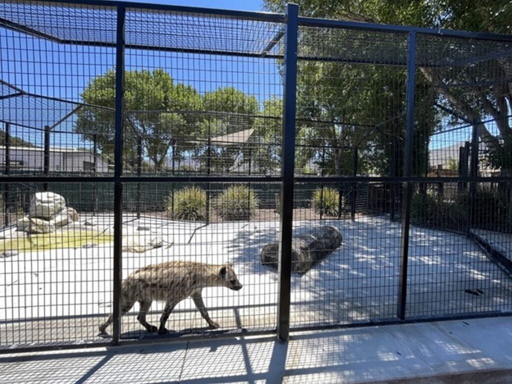 Zoo concepts for the 21st century - RTF | Rethinking The Future