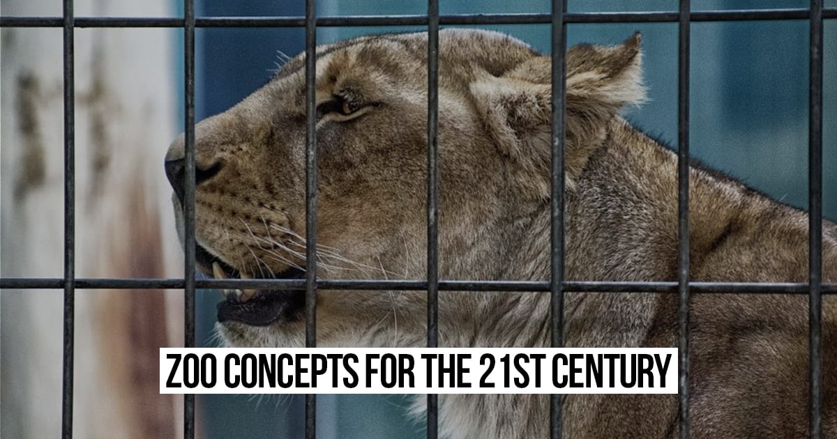 Zoo concepts for the 21st century - RTF | Rethinking The Future