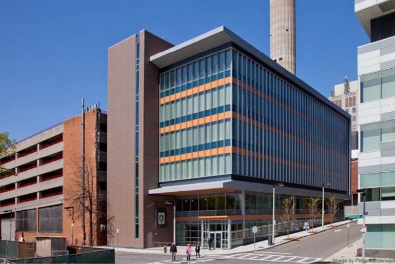 Linea 5: Elevating Architecture Through Excellence and Innovation - RTF ...