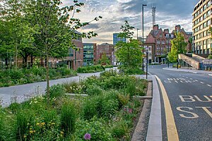 Harmony in Urban Ecology: The Rise of Blue-Green Networks - RTF ...