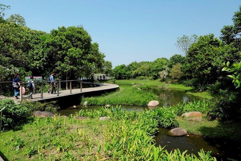 Harmony in Urban Ecology: The Rise of Blue-Green Networks - RTF ...