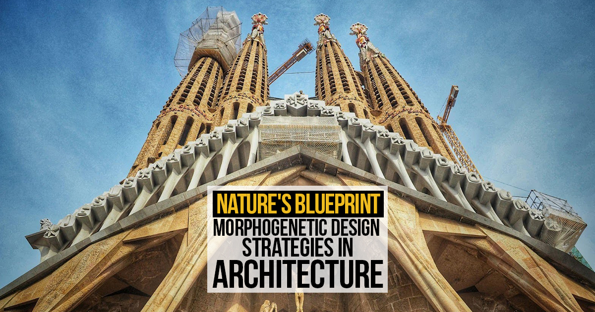 Nature's Blueprint: Morphogenetic Design Strategies in Architecture ...