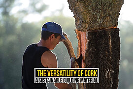The Versatility of Cork: A Sustainable Building Material - RTF ...