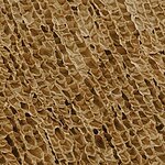 The Versatility of Cork: A Sustainable Building Material - RTF ...