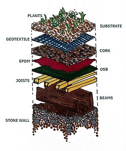 The Versatility of Cork: A Sustainable Building Material - RTF ...