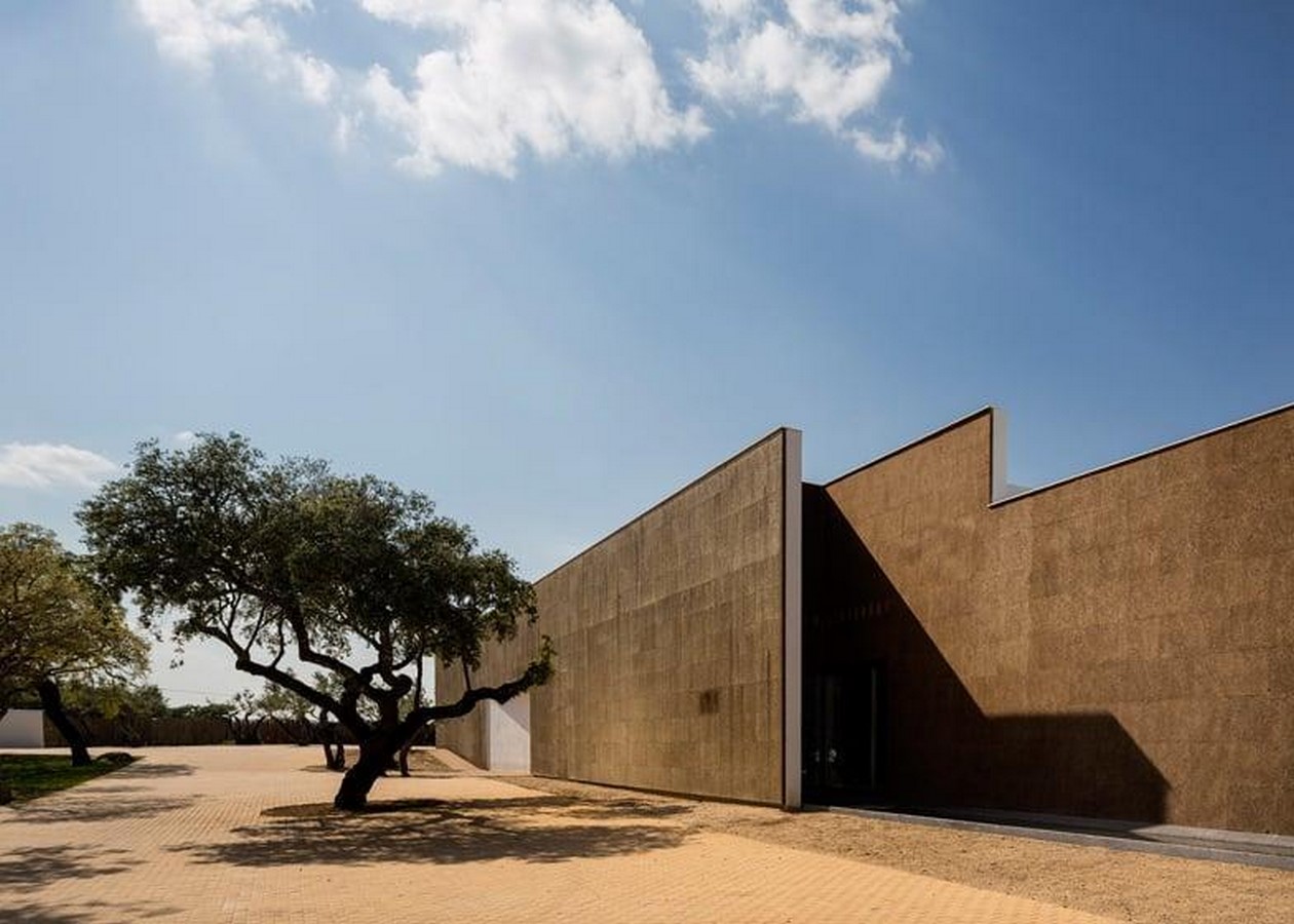 The Versatility of Cork: A Sustainable Building Material - RTF ...