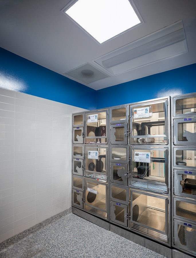 Grapevine Animal Services Shelter and Adoption Center by Solatube ...