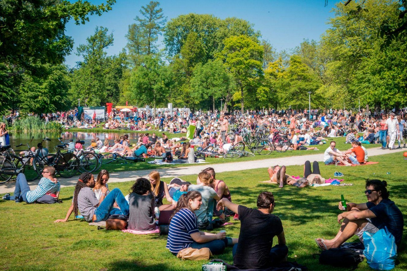 Beyond Concrete: The Social Role of Public Spaces in Urban Planning ...