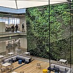 The Healing Power of Built Environments: A Journey through Restorative ...