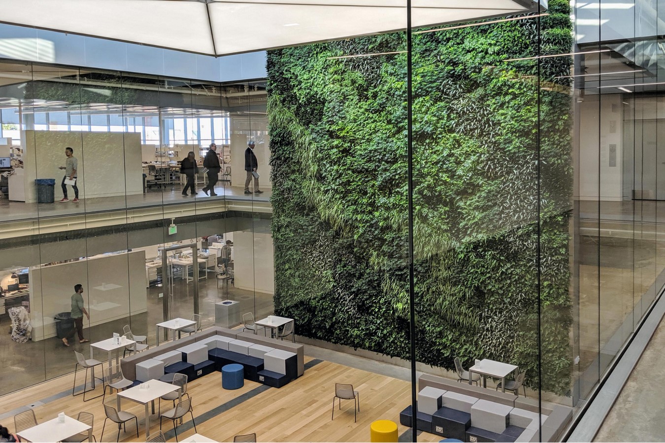 The Healing Power of Built Environments: A Journey through Restorative ...
