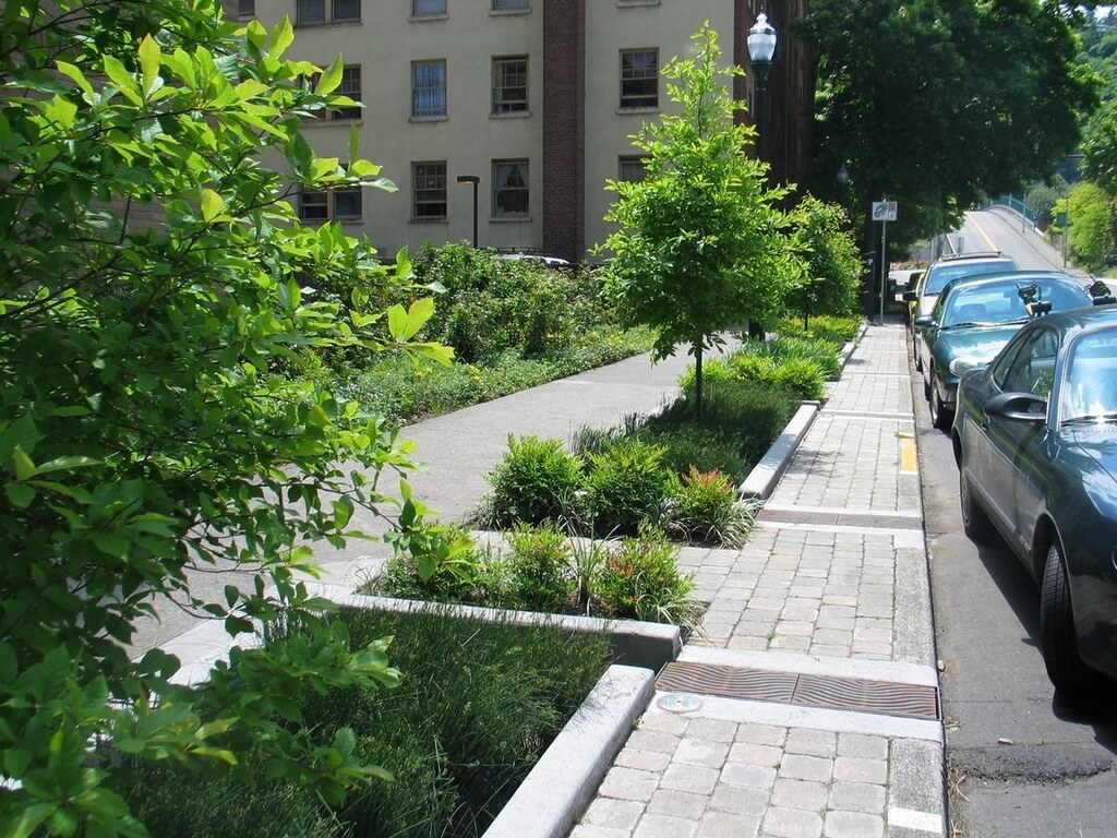 Transforming Indian Streets: Embracing Storm Water Management - RTF ...