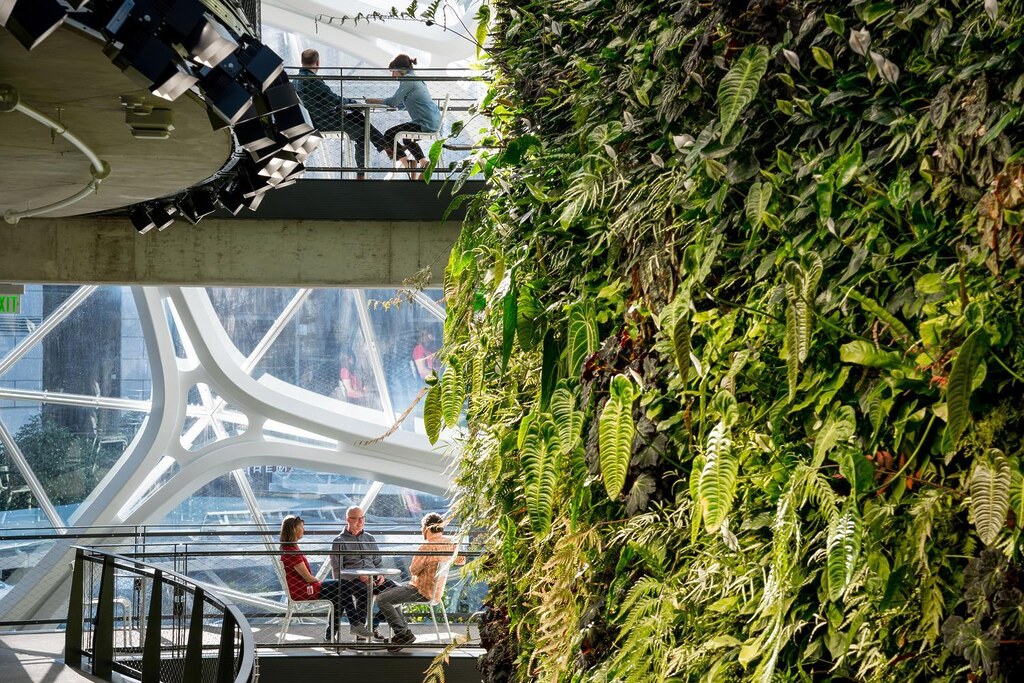 Creating Harmony: Biophilic Design Principles in Interior Spaces - RTF ...
