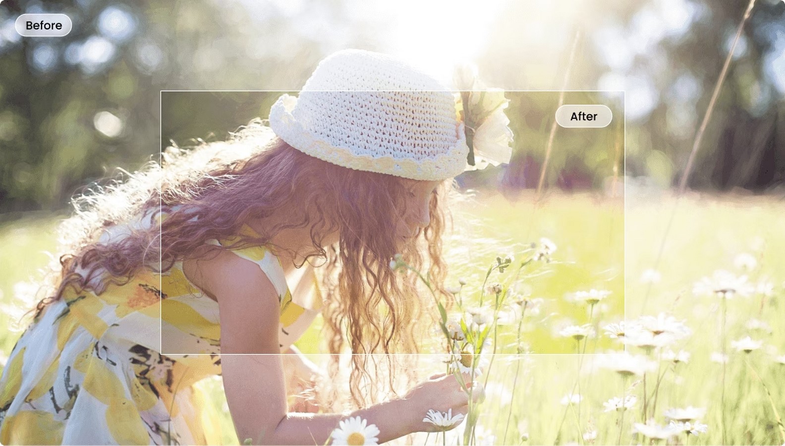 Reshape Your Visual Experience With AI Photo Enhancers - RTF ...