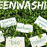 How Greenwashing Affects Sustainability Efforts - RTF | Rethinking The ...