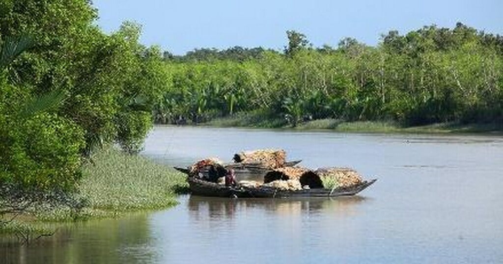 UNESCO World Heritage Sites: Sundarbans National Park - RTF ...