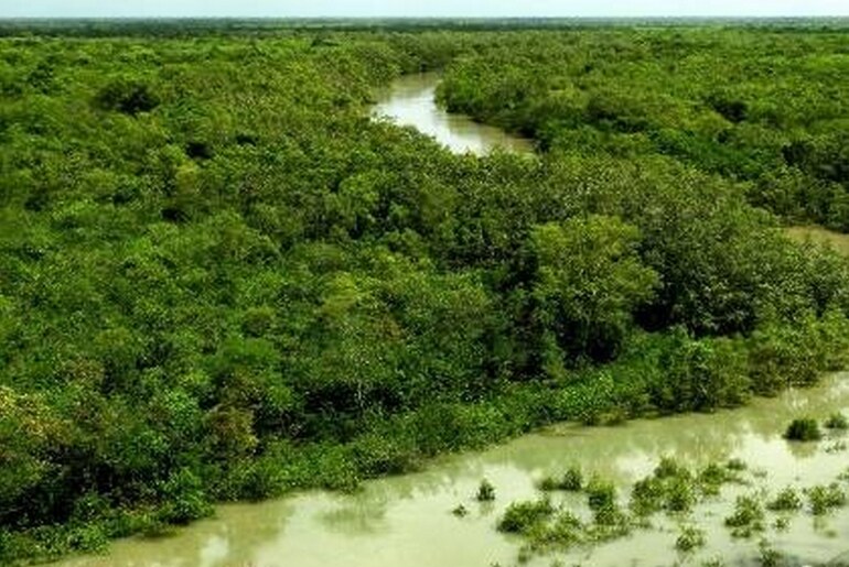 UNESCO World Heritage Sites: Sundarbans National Park - RTF ...
