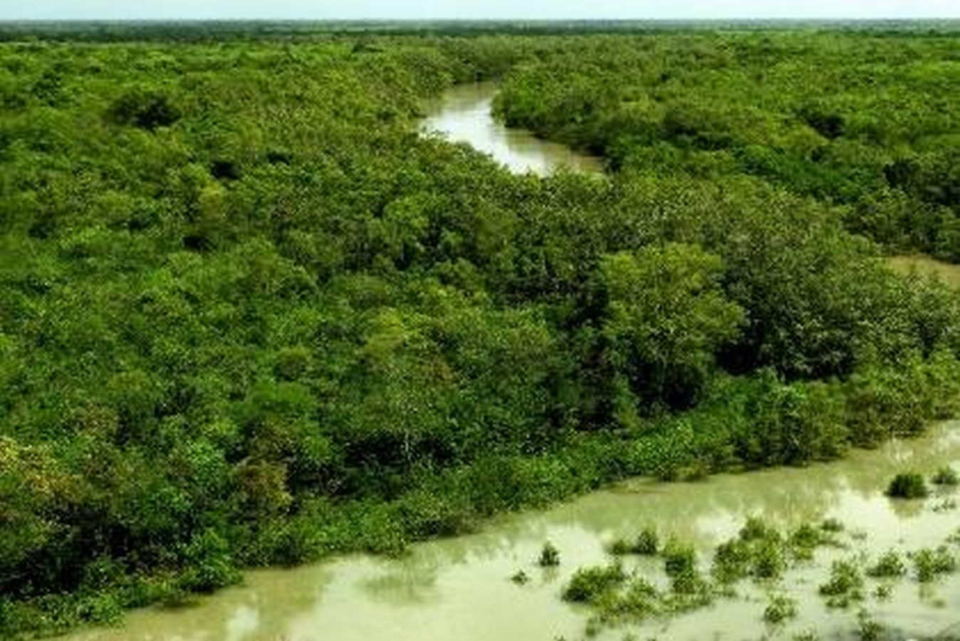 UNESCO World Heritage Sites: Sundarbans National Park - RTF ...