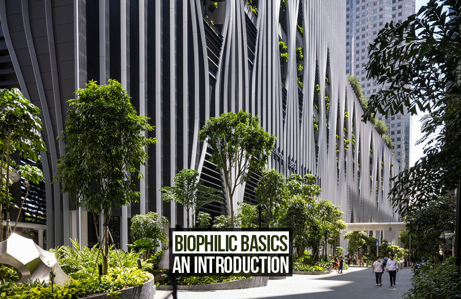 Biophilic Basics: An Introduction - RTF | Rethinking The Future
