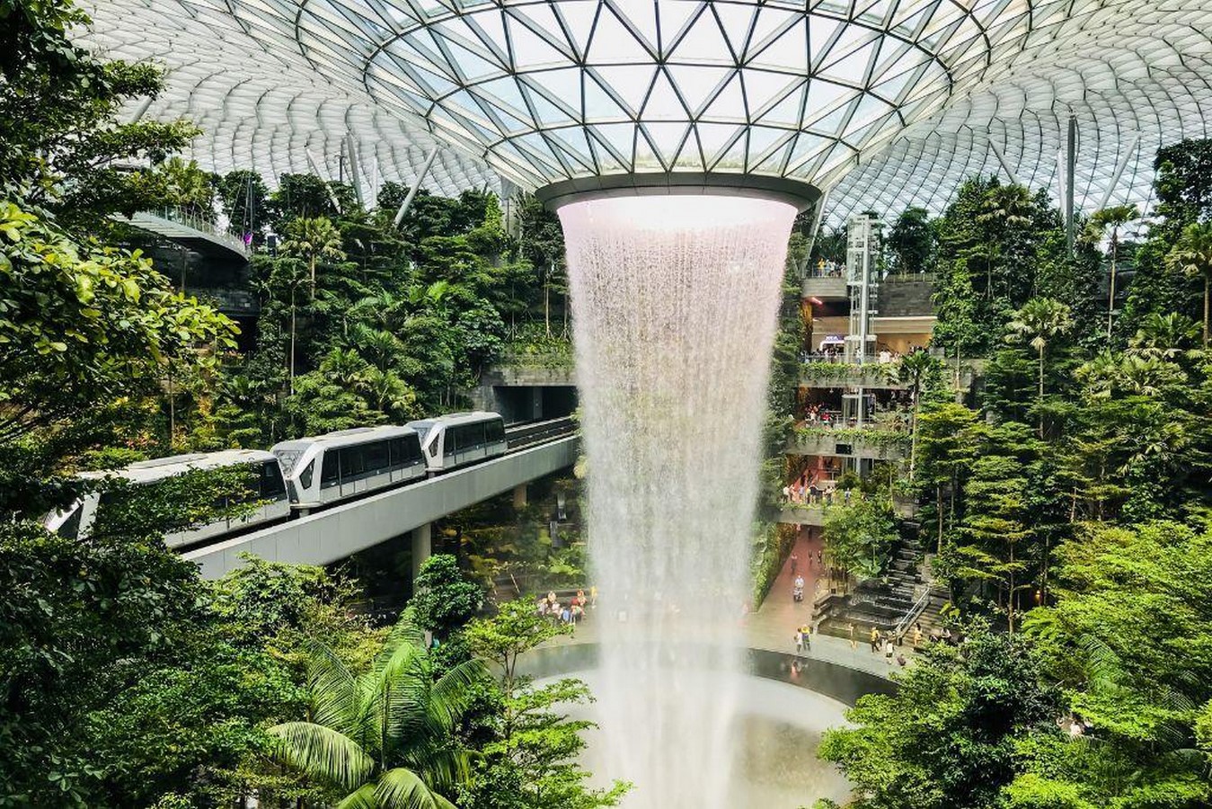 Biophilic Basics: An Introduction - RTF | Rethinking The Future