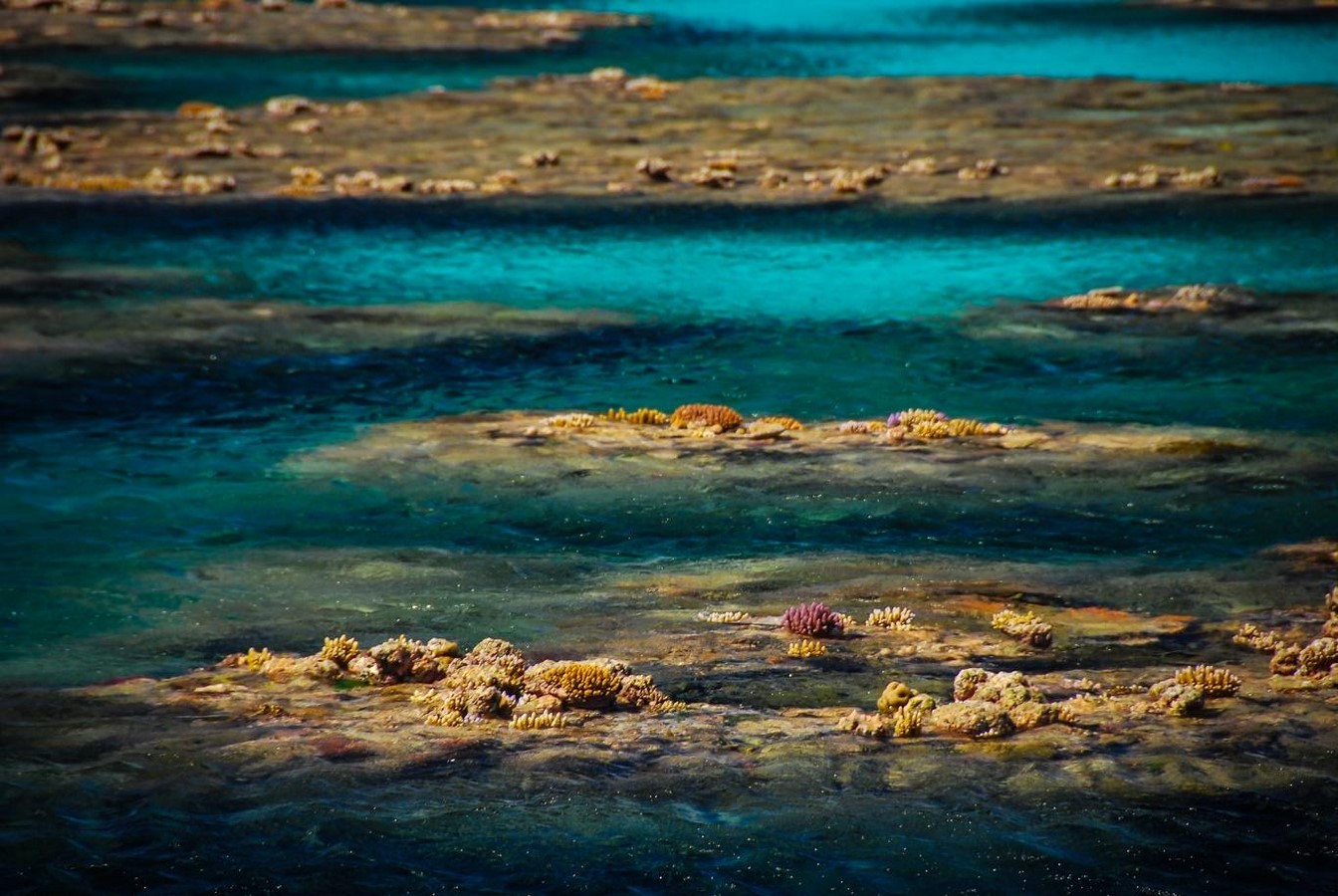 UNESCO World Heritage Sites: Great Barrier Reef - RTF | Rethinking The ...