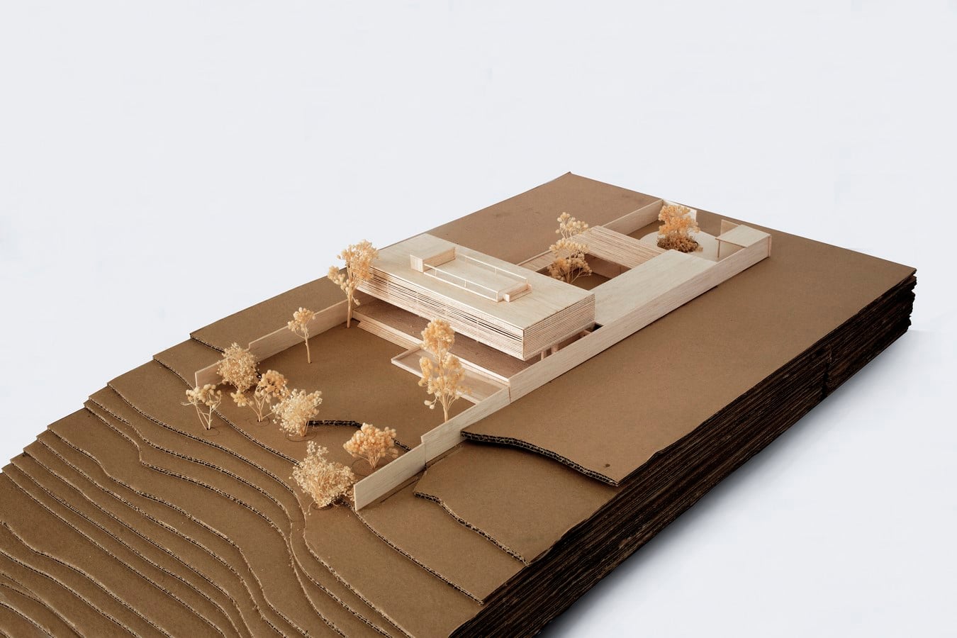 MEKONG VILLA by BLOOM architecture - RTF | Rethinking The Future