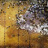 Exploring the Influence of Local Materials (after 2010) - RTF ...