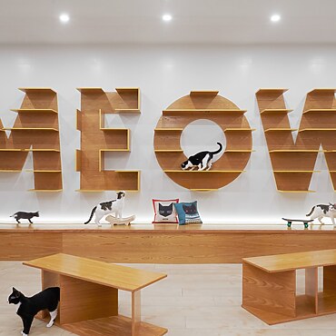 Meow Parlour by Sonya Lee Architect - RTF | Rethinking The Future