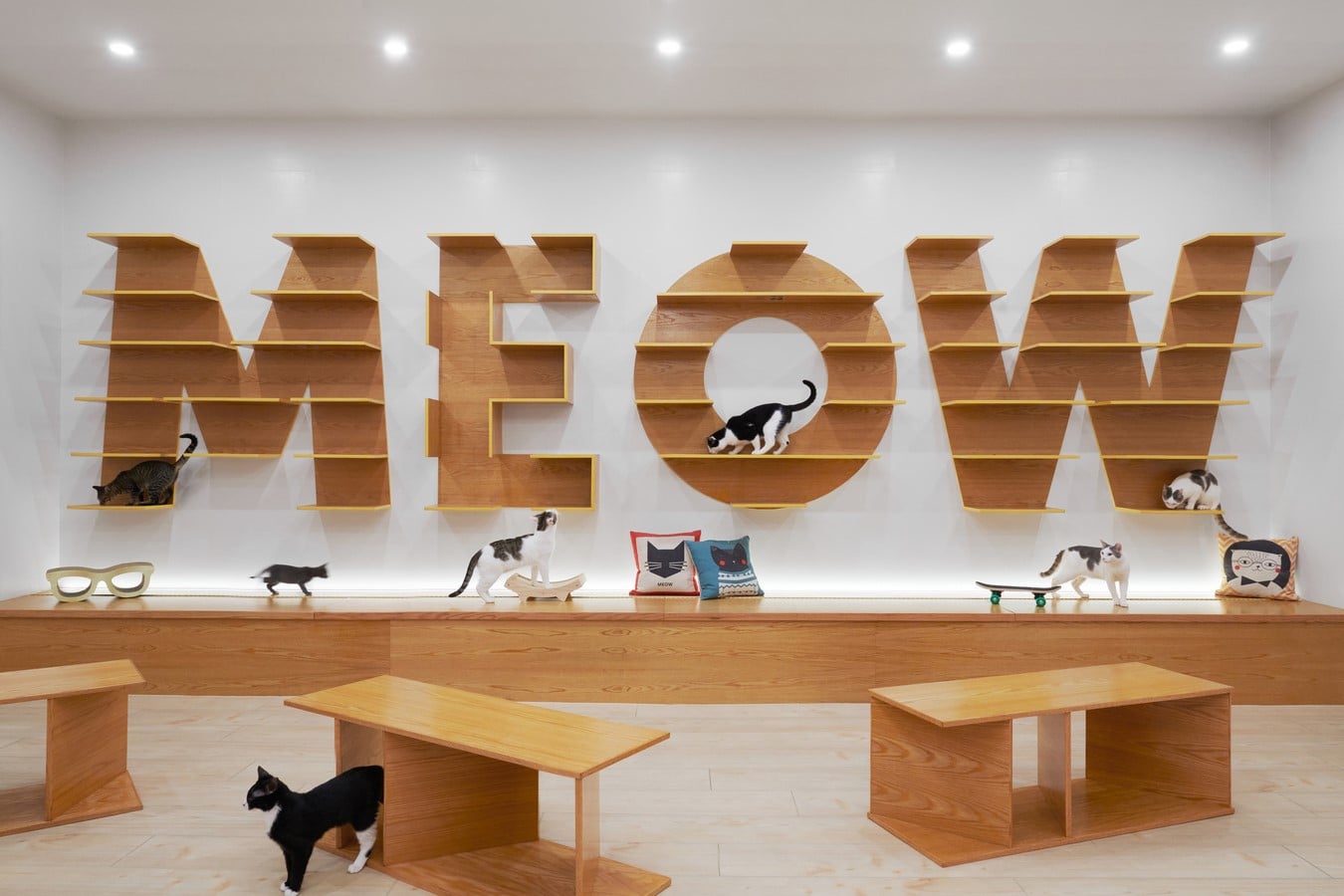 Meow Parlour by Sonya Lee Architect - RTF | Rethinking The Future