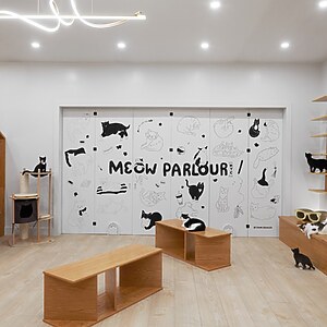 Meow Parlour by Sonya Lee Architect - RTF | Rethinking The Future